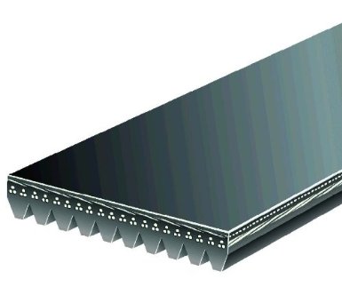 Gates 6- Rib 91.5" Belt - Snyder Performance Engineering